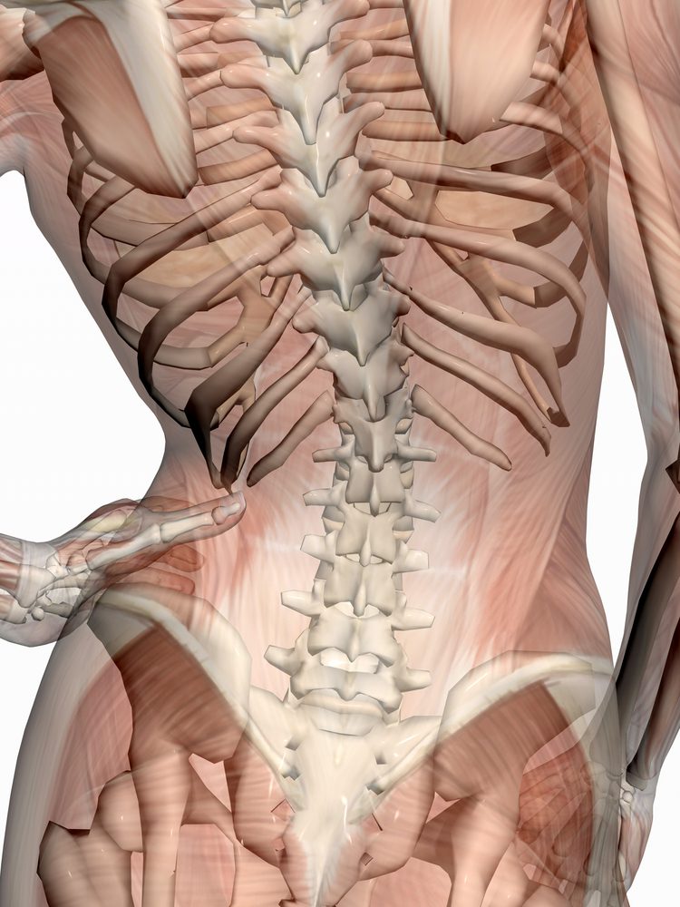 Pelvis Out Of Alignment Why Is This Important Challenge Physical Pelvis Out Of Alignment Why Is This Important Challenge Physical